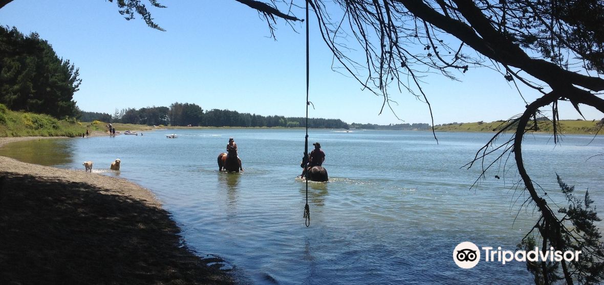 เที่ยวOtatara (2024) - ที่เที่ยวใน Otatara, กิจกรรมสนุกๆ, โรงแรม ...