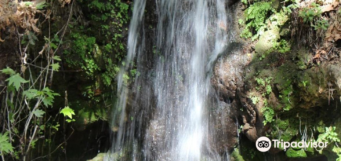 Things to Do in Tzfat in 2024 - Top Attractions, Local Food, Hotels ...