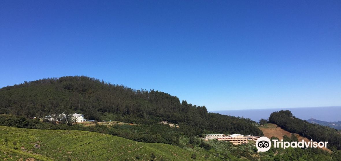 Nilgiris Travel Guide 2024 - Things to Do, What To Eat & Tips | Trip.com