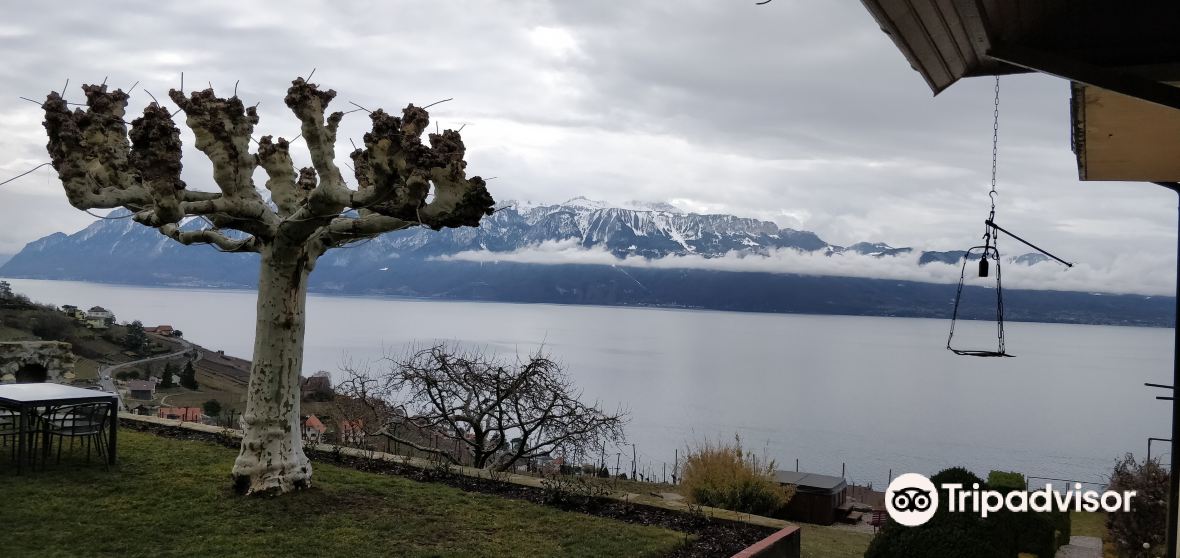 Lutry Travel Guide 2024 - Things to Do, What To Eat & Tips | Trip.com