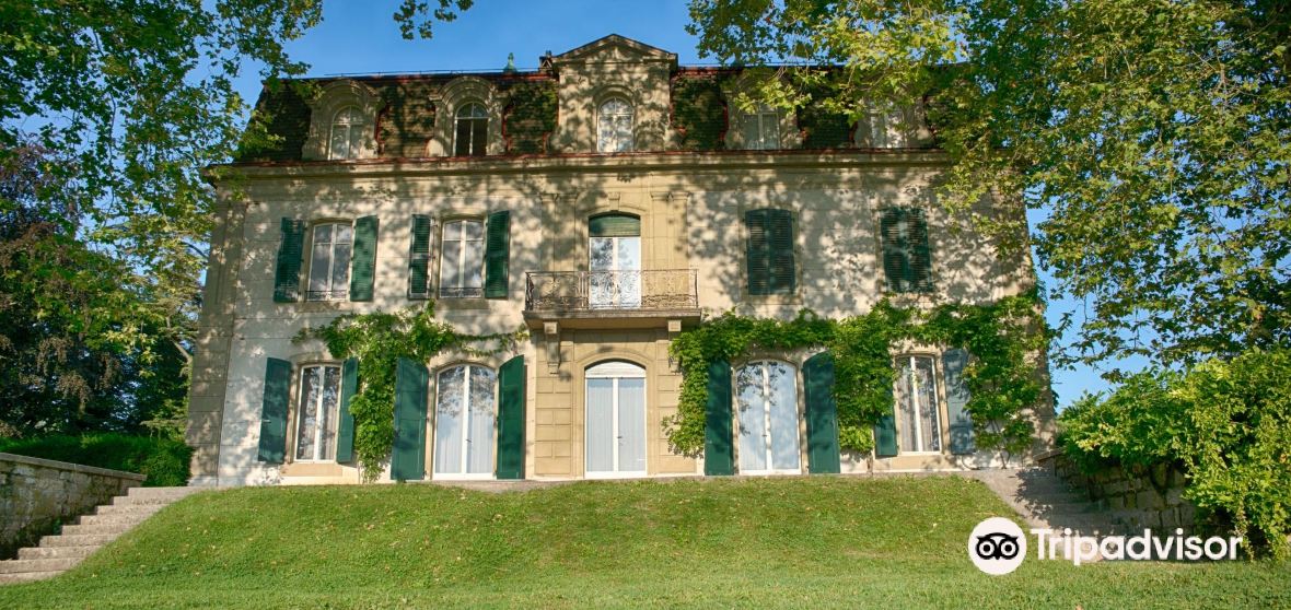 Things to Do in Pregny-Chambesy in 2024 - Top Attractions, Local Food ...