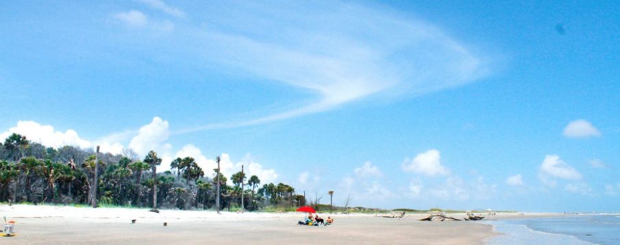 Things to do in Dewees Island (2025): Top nearby activities,popular ...