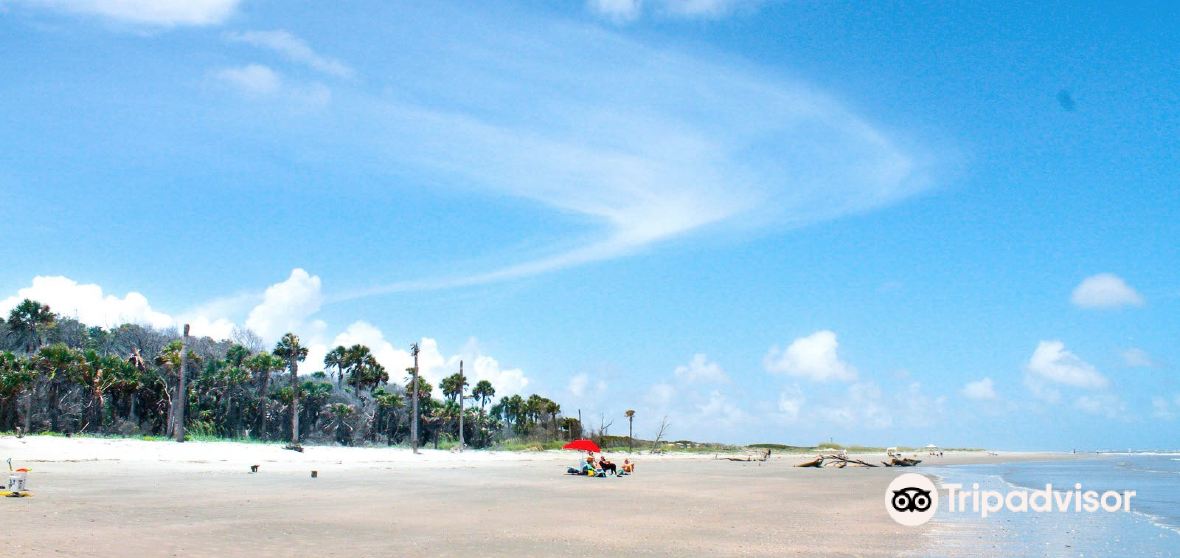 Things to do in Dewees Island (2025): Top nearby activities,popular ...