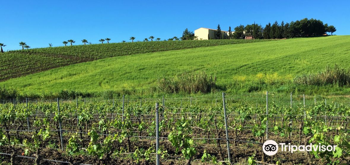 Camporeale Travel Guide 2024 - Things to Do, What To Eat & Tips | Trip.com