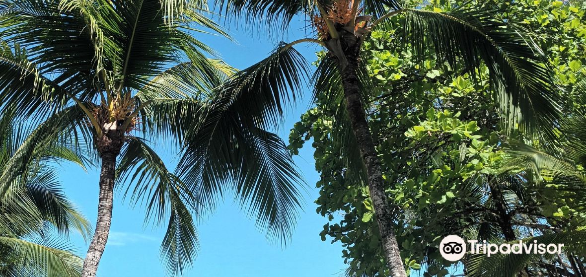 Quebrada Ganado Travel Guide 2024 - Things to Do, What To Eat & Tips ...