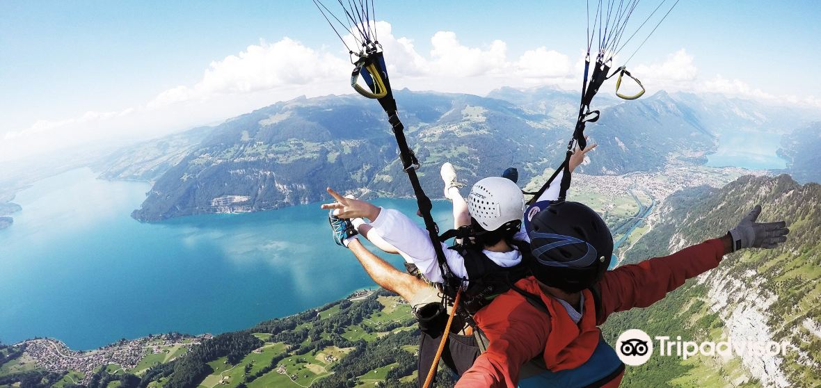 Things to Do in Interlaken City Center in 2024 - Top Attractions, Local ...