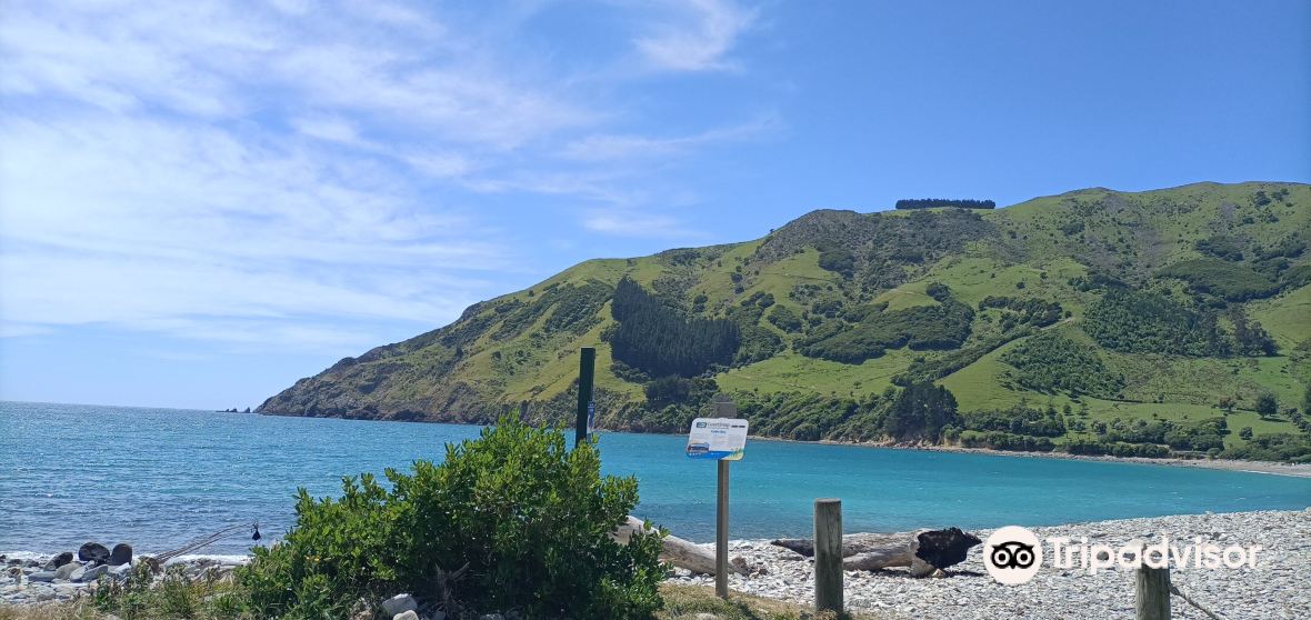 Things to Do in Cable Bay in 2025 - Top Attractions, Local Food, Hotels ...