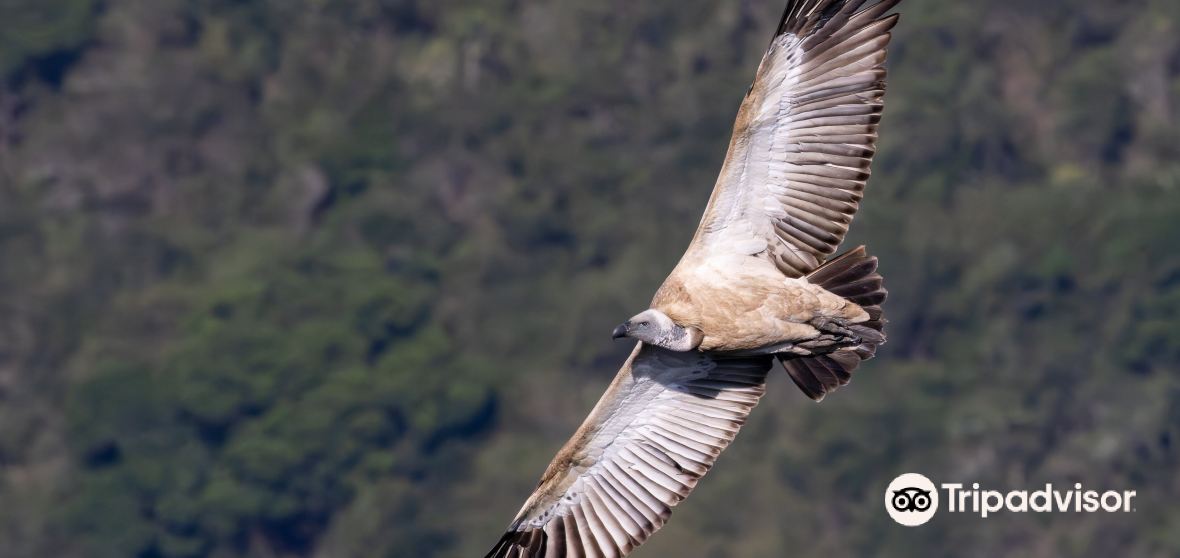 Port Shepstone Travel Guide 2024 - Things to Do, What To Eat & Tips ...