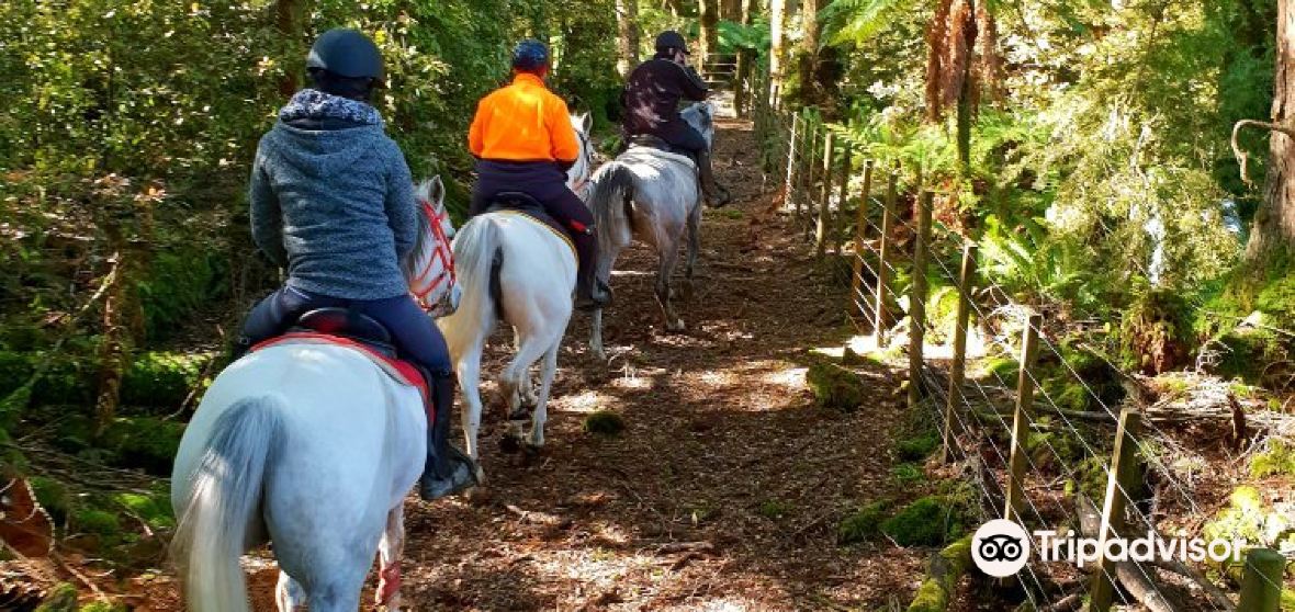 Apiti independent travel guide (2025): top things to do near you ...