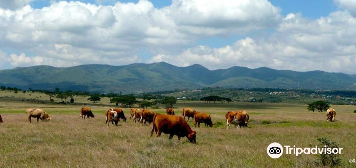 Things to do in Kiserian (2025): Top nearby activities,popular ...