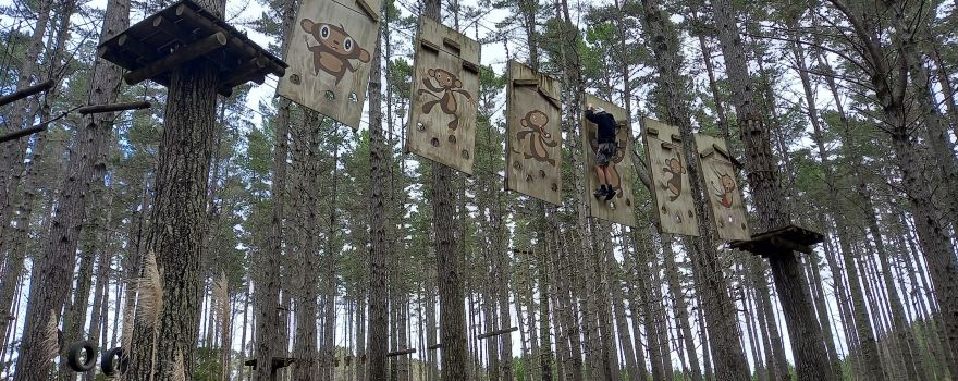 Whau Valley自由行旅遊攻略 (2024): 好去處、熱門景點、行程規劃、住宿美食推薦 | Trip.com