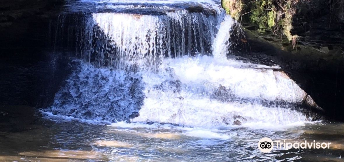 Wolfe County Travel Guide 2026: Top Attractions, Things to Do & Deals ...