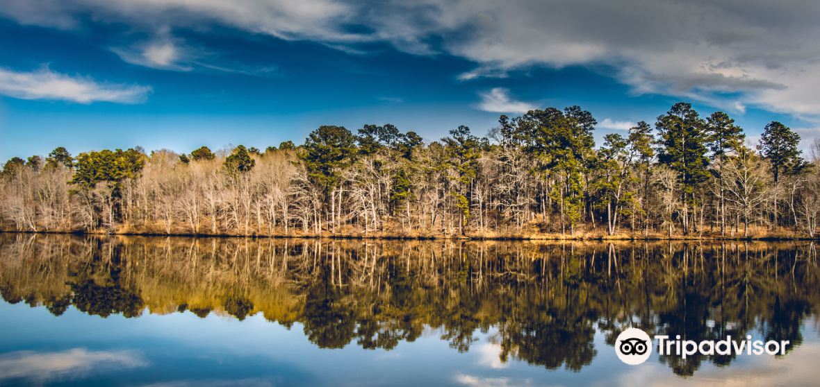 Things to do in Lowndes County (2025): Top nearby activities,popular ...