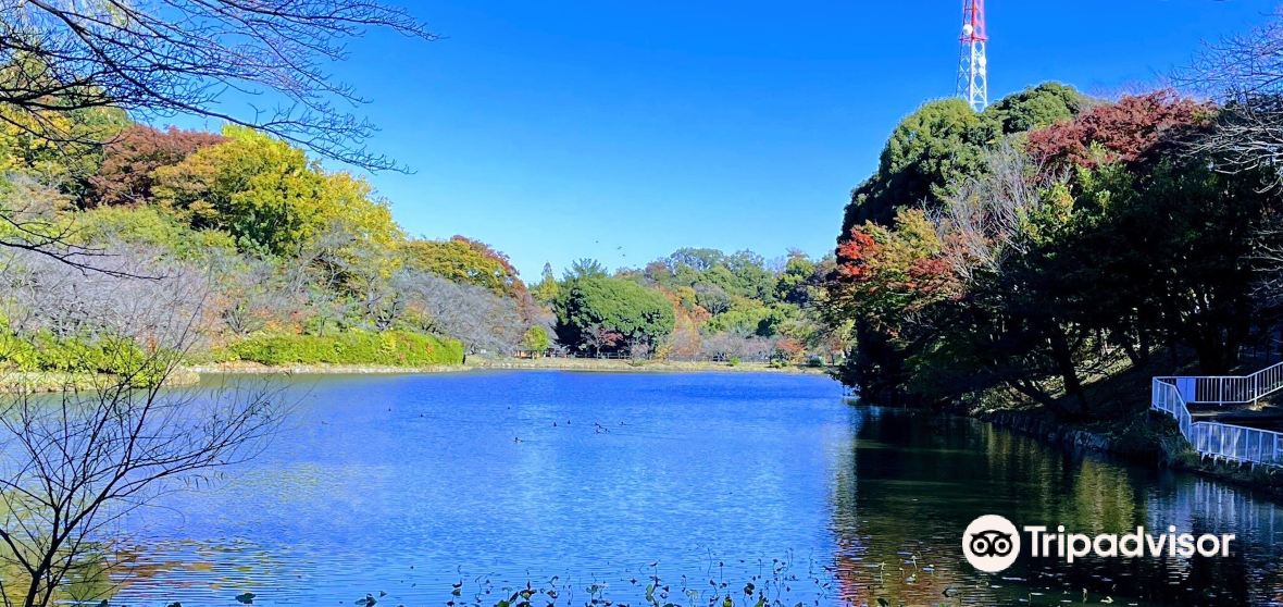 เที่ยวTsurumi Ward (2024) - ที่เที่ยวใน Tsurumi Ward, กิจกรรมสนุกๆ ...