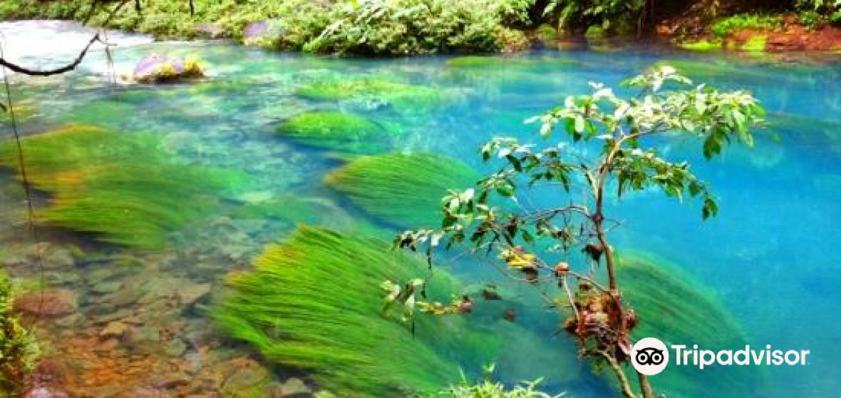 เที่ยวGuatuso (2024) - ที่เที่ยวใน Guatuso, กิจกรรมสนุกๆ, โรงแรม ...