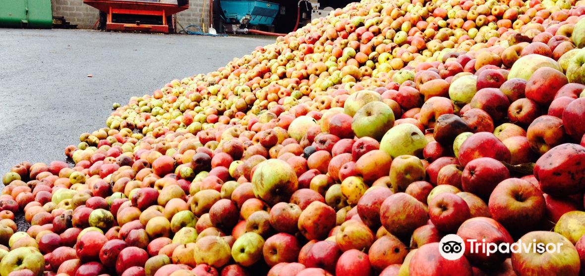 Things to Do in Caligny in 2024 - Top Attractions, Local Food, Hotels ...