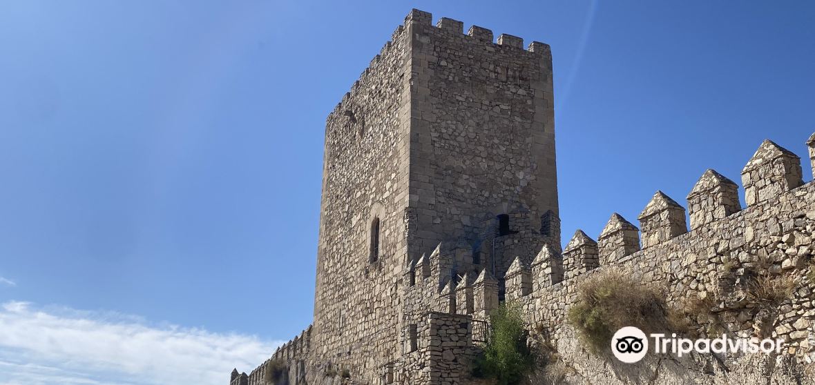 Things to Do in Almansa in 2025 - Top Attractions, Local Food, Hotels ...