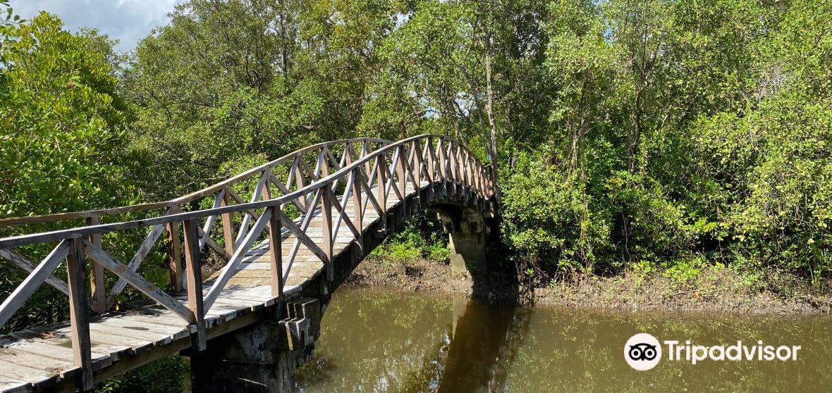 Ibajay Travel Guide 2025: Top Attractions, Things to Do & Deals | Trip ...