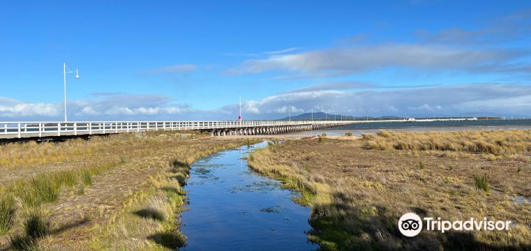 Things to Do in Foster in 2024 - Top Attractions, Local Food, Hotels ...