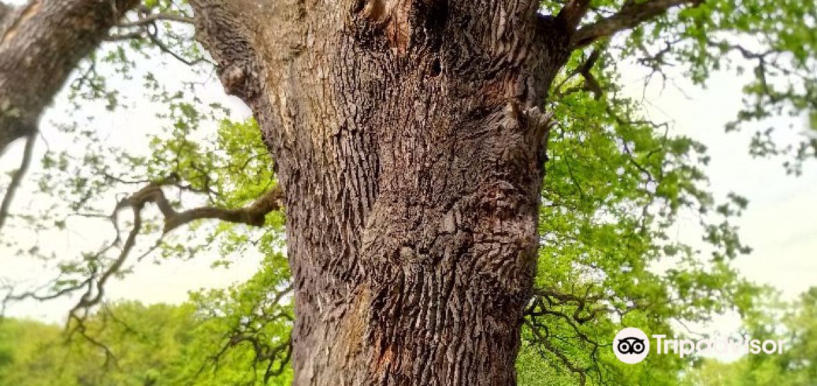 คู่มือเที่ยวApoldด้วยตัวเอง (2025): สุดยอดกิจกรรมน่าสนใจใกล้คุณ ...