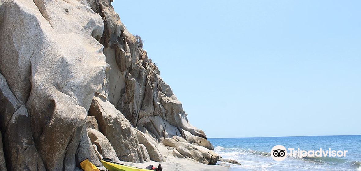 Los Troncos 2024 인기 명소 - Los Troncos 트립 가이드 - Los Troncos 인기 명소 입장권 추천 ...