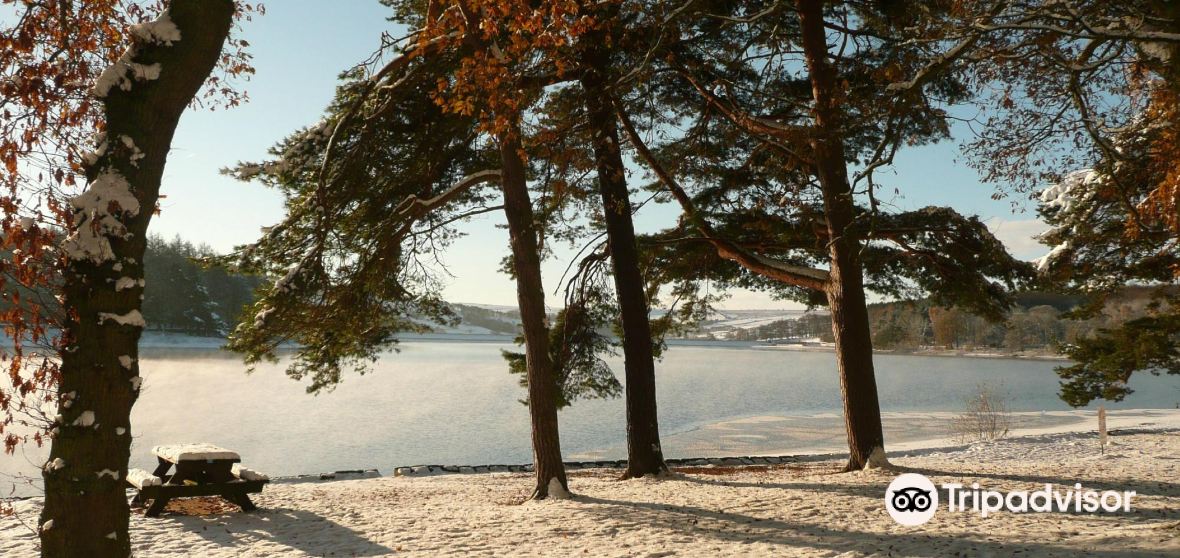 Things to Do in Timble in 2024 - Top Attractions, Local Food, Hotels ...