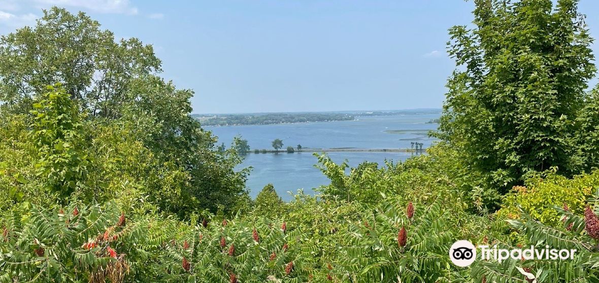 Maplewood Township Travel Guide 2024 - Things to Do, What To Eat & Tips ...