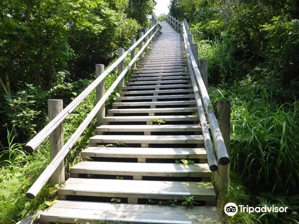 Uradome Coast Natural Track Road Tickets [2026] - Promos, Prices ...