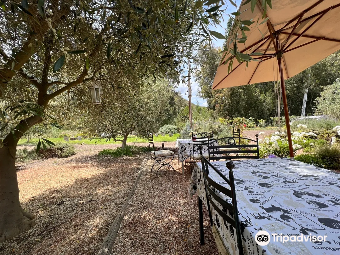 Owl's Rest - Olive and Lavender Farm Tickets [2026] - Promos, Prices ...