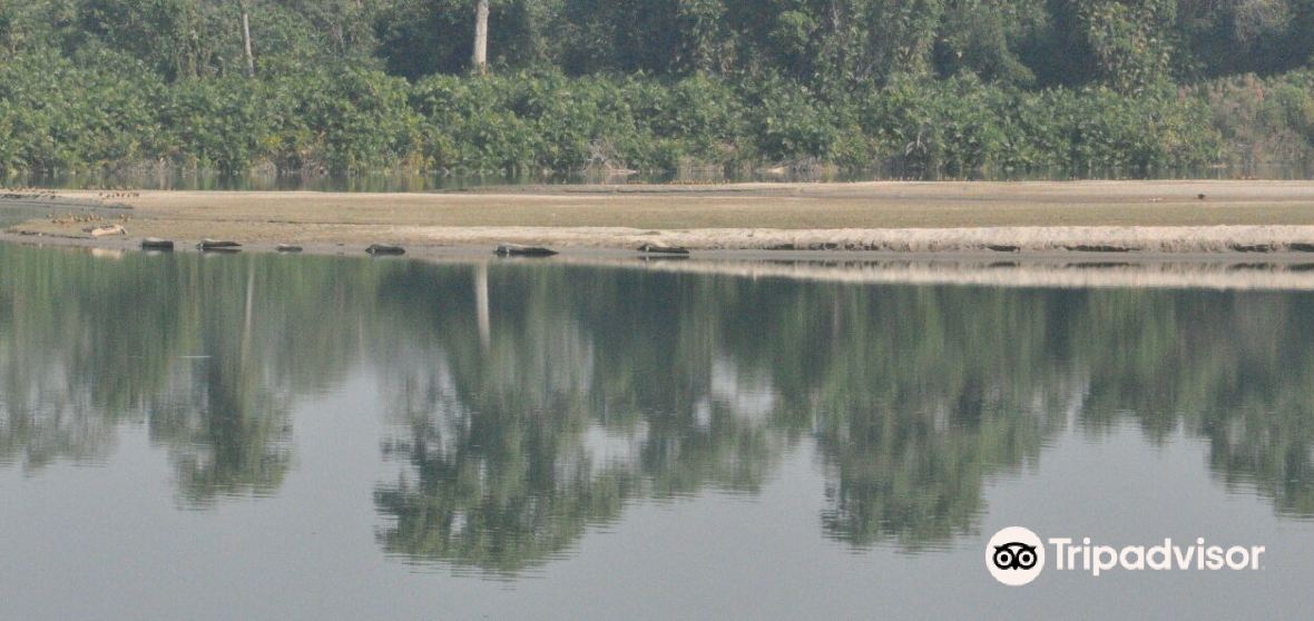 Things to Do in Bahraich in 2024 - Top Attractions, Local Food, Hotels ...