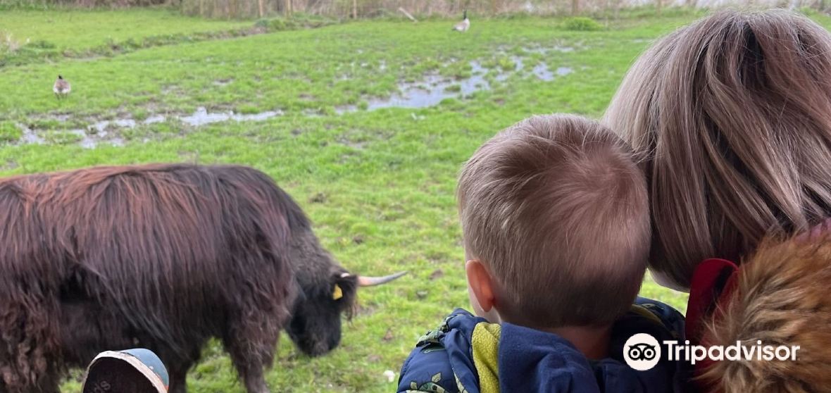 เที่ยวMancot (2024) - ที่เที่ยวใน Mancot, กิจกรรมสนุกๆ, โรงแรม ...