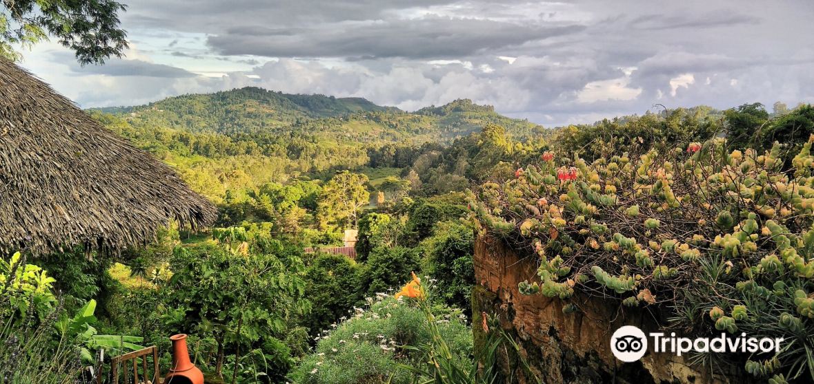 Things to Do in Korogwe in 2025 - Top Attractions, Local Food, Hotels ...