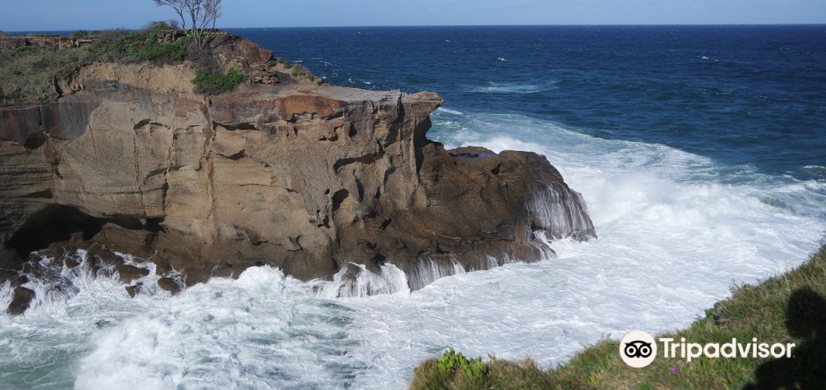 Pinny Beach Travel Guide 2024 - Things to Do, What To Eat & Tips | Trip.com