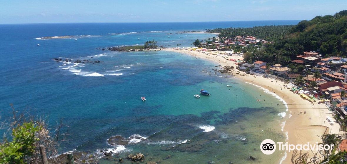 Things to do in Maracas (2025): Top nearby activities,popular ...