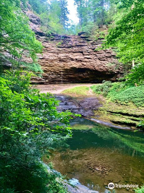 Top Hotels Near Veteran's Park Spring City TN in Rhea County | Trip.com