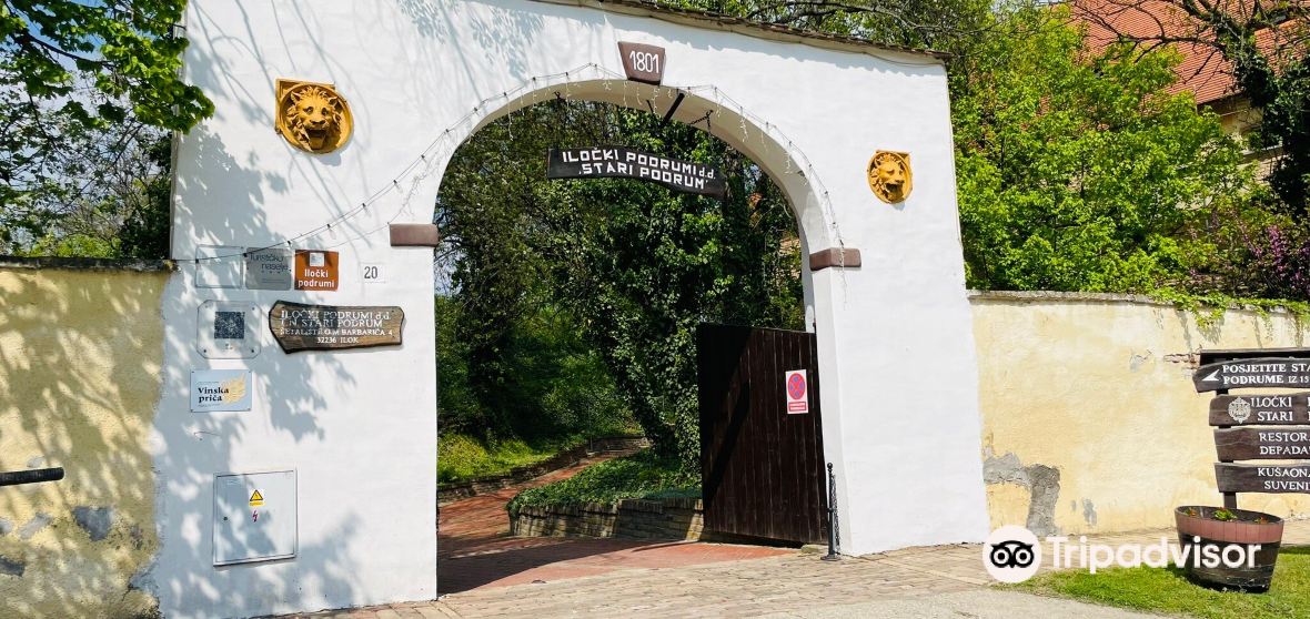 Things to Do in Ilok in 2025 - Top Attractions, Local Food, Hotels ...