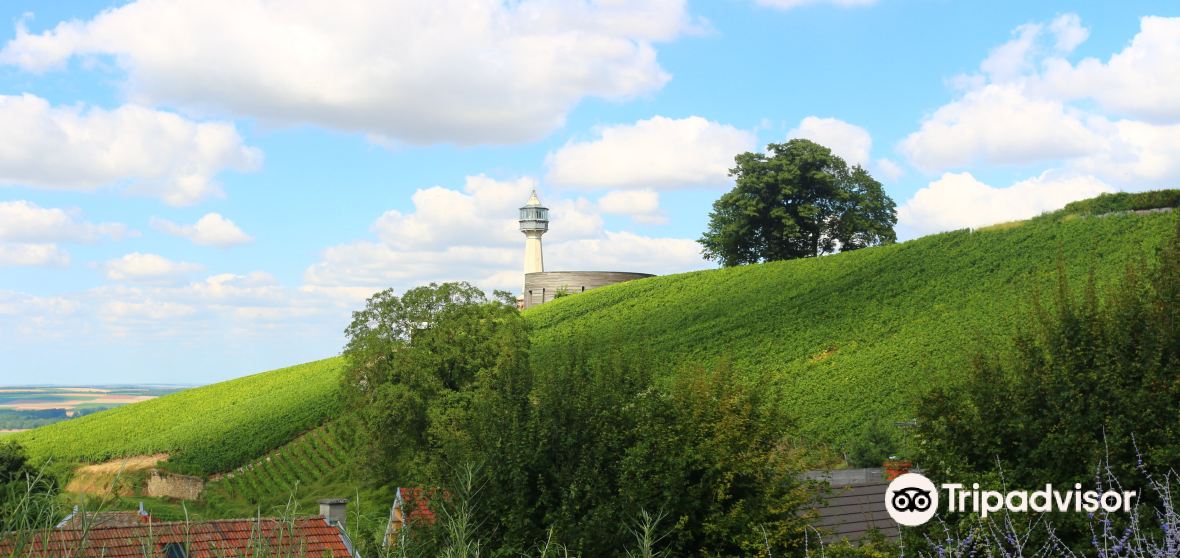 Things to Do in Verzenay in 2025 - Top Attractions, Local Food, Hotels ...