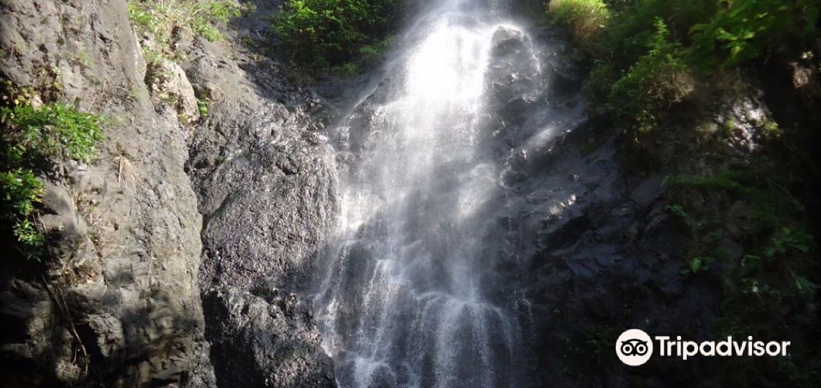 Things to Do in Purworejo Regency in 2025 - Top Attractions, Local Food ...