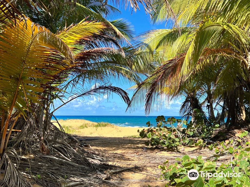 Closest Hotels Near Paseo Piñones - Carolina | Trip.com