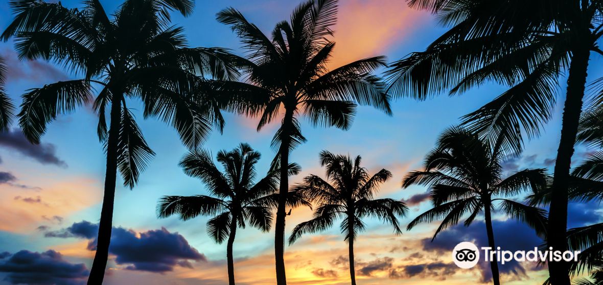 เที่ยวMataiea (2025) - ที่เที่ยวใน Mataiea, กิจกรรมสนุกๆ, โรงแรม ...