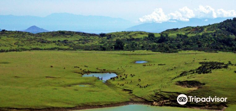 Belu Regency個人旅行ガイド（2025年）：おすすめの周辺アクティビティ、人気観光スポット、旅程の計画、宿泊施設、グルメ、交通機関 ...