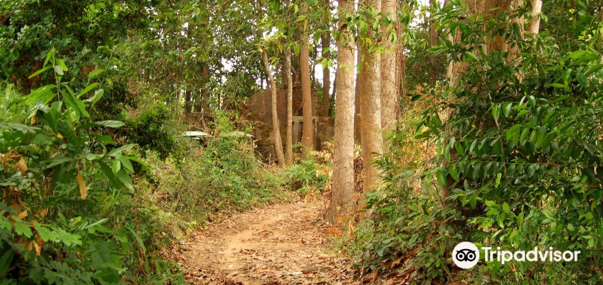 Sisophon Travel Guide 2026: Top Attractions, Things to Do & Deals ...