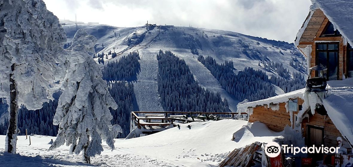 Municipality of Raska自由行旅遊 (2024) - 熱門景點、必吃美食、住宿推薦 | Trip.com