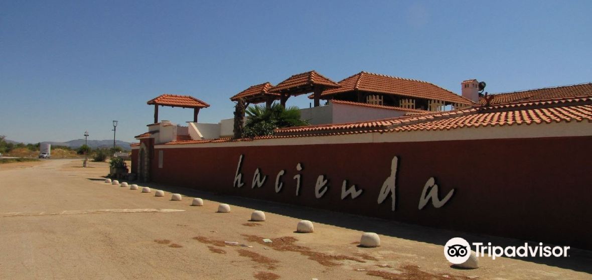 Vodice Travel Guide 2024 - Things to Do, What To Eat & Tips | Trip.com