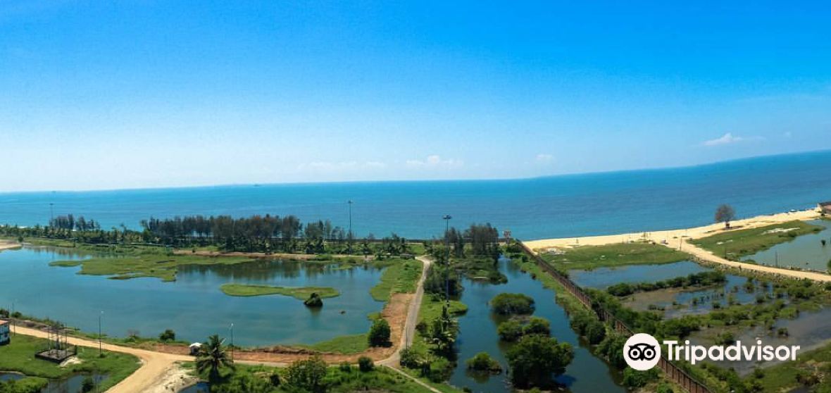 Things to Do in Vypin Island in 2024 - Top Attractions, Local Food ...