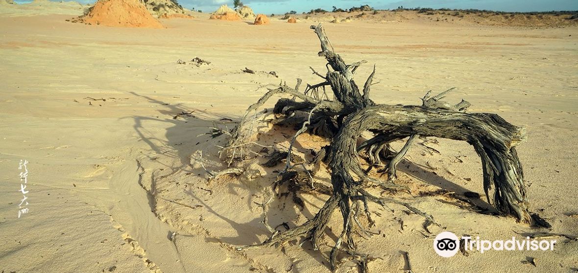 Nyngan Travel Guide 2024 - Things to Do, What To Eat & Tips | Trip.com