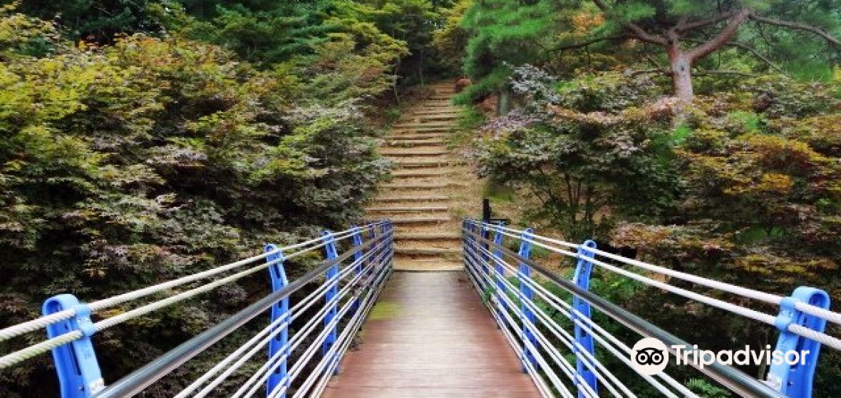 Goryeong-gun Travel Guide 2023 - Things to Do, What To Eat & Tips ...