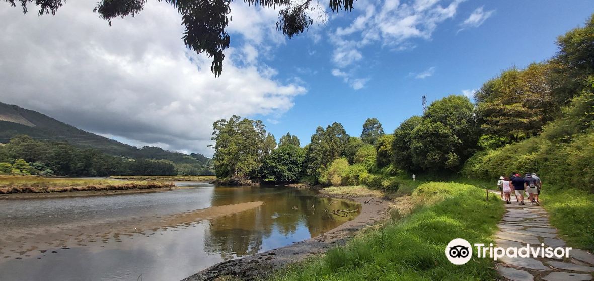 Viveiro Travel Guide 2025: Top Attractions, Things to Do & Deals | Trip ...