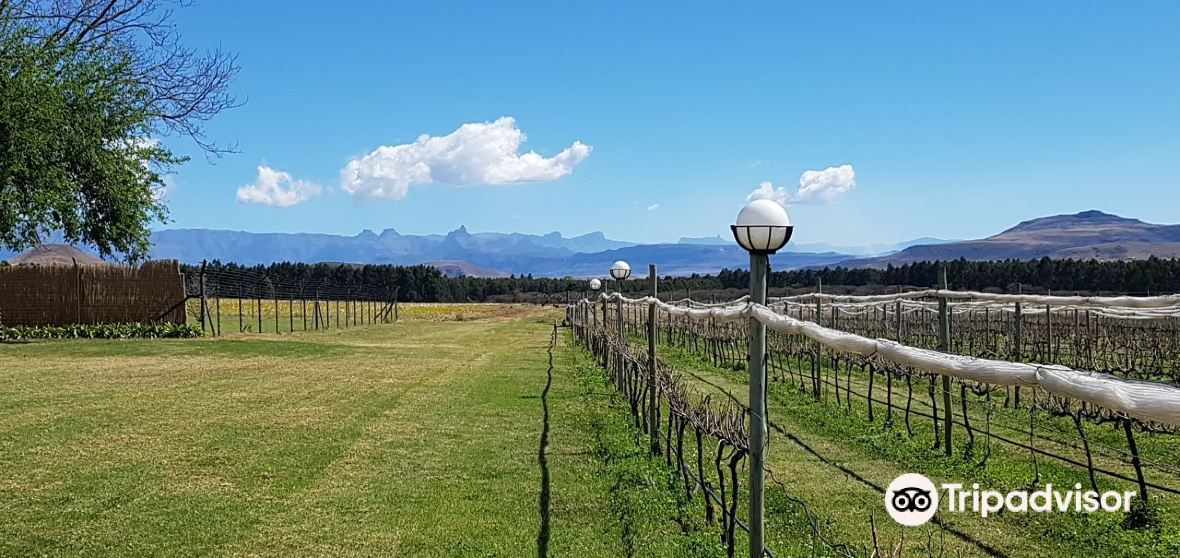 Things to Do in Bergville in 2025 - Top Attractions, Local Food, Hotels ...