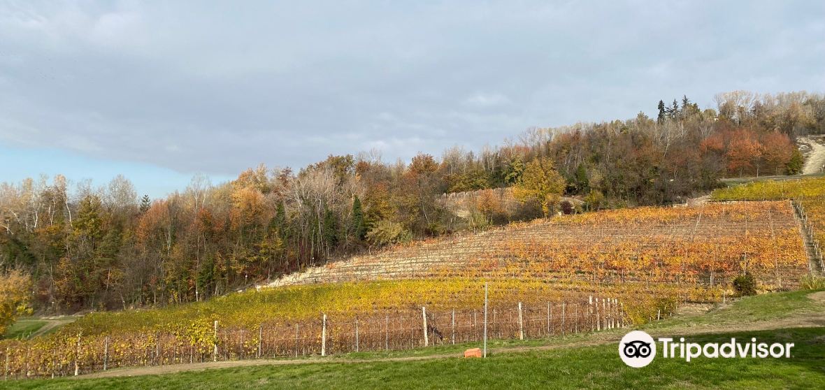 แนะนำการเดินทาง Narzole 2024 - สิ่งที่ควรทำ, อาหารที่ควรรับประทาน & ทิป ...